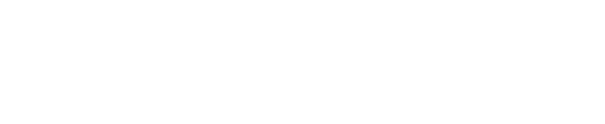 Travel Solutions Network