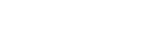 Travel Solutions Network